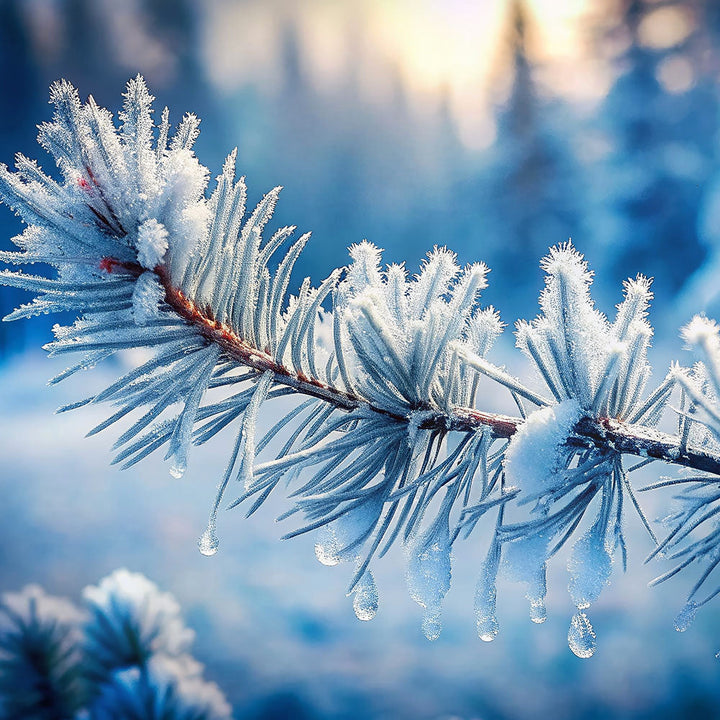 Fragrances – Capri Blue